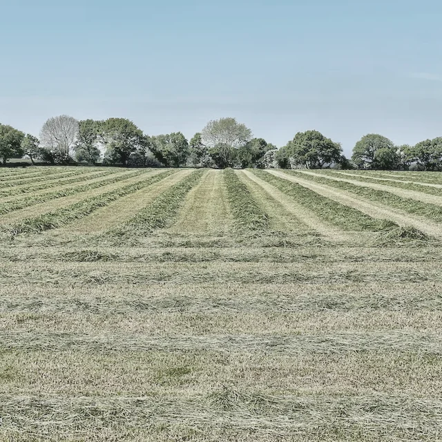 サービス一覧 - 広島・愛知で注文住宅・リフォームのことなら株式会社PLUSBON（プラスボン）
